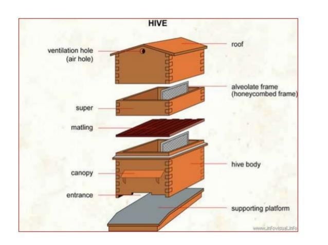 Methods of apiculture.pptx | Free Download