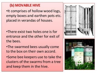 Methods of apiculture.pptx