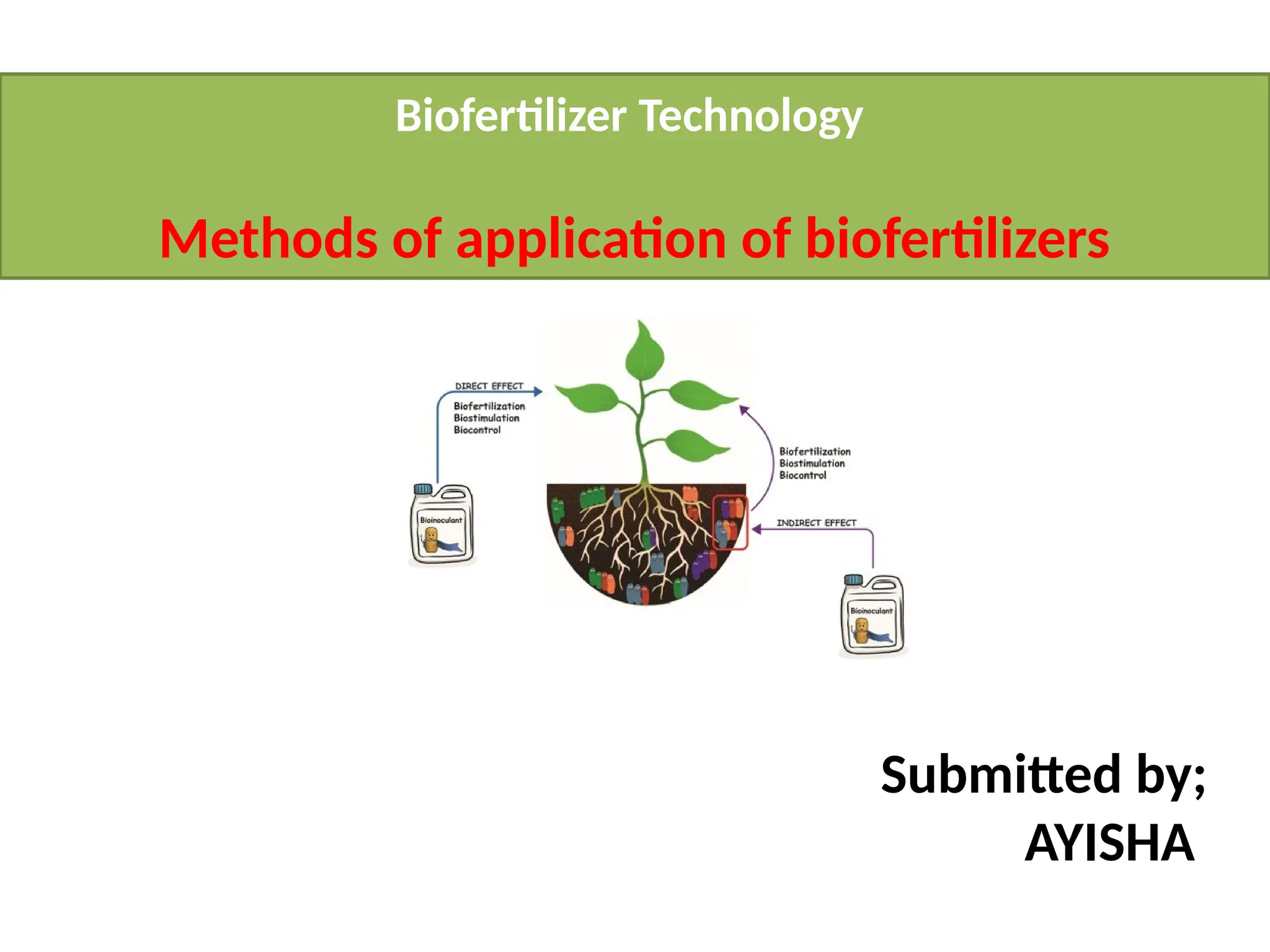 Methods of application of biofertilizer.pptx