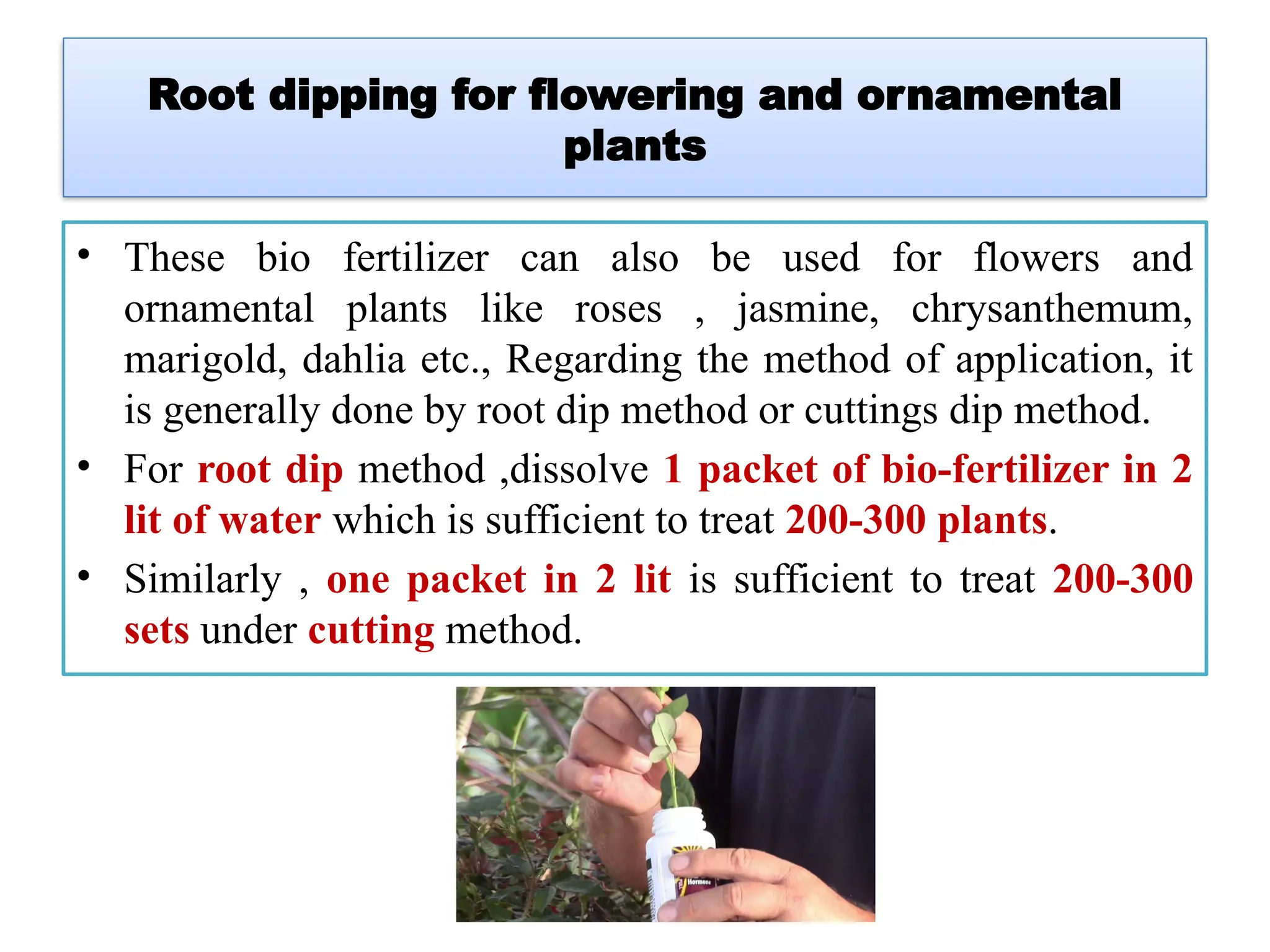 Methods of application of biofertilizer.pptx
