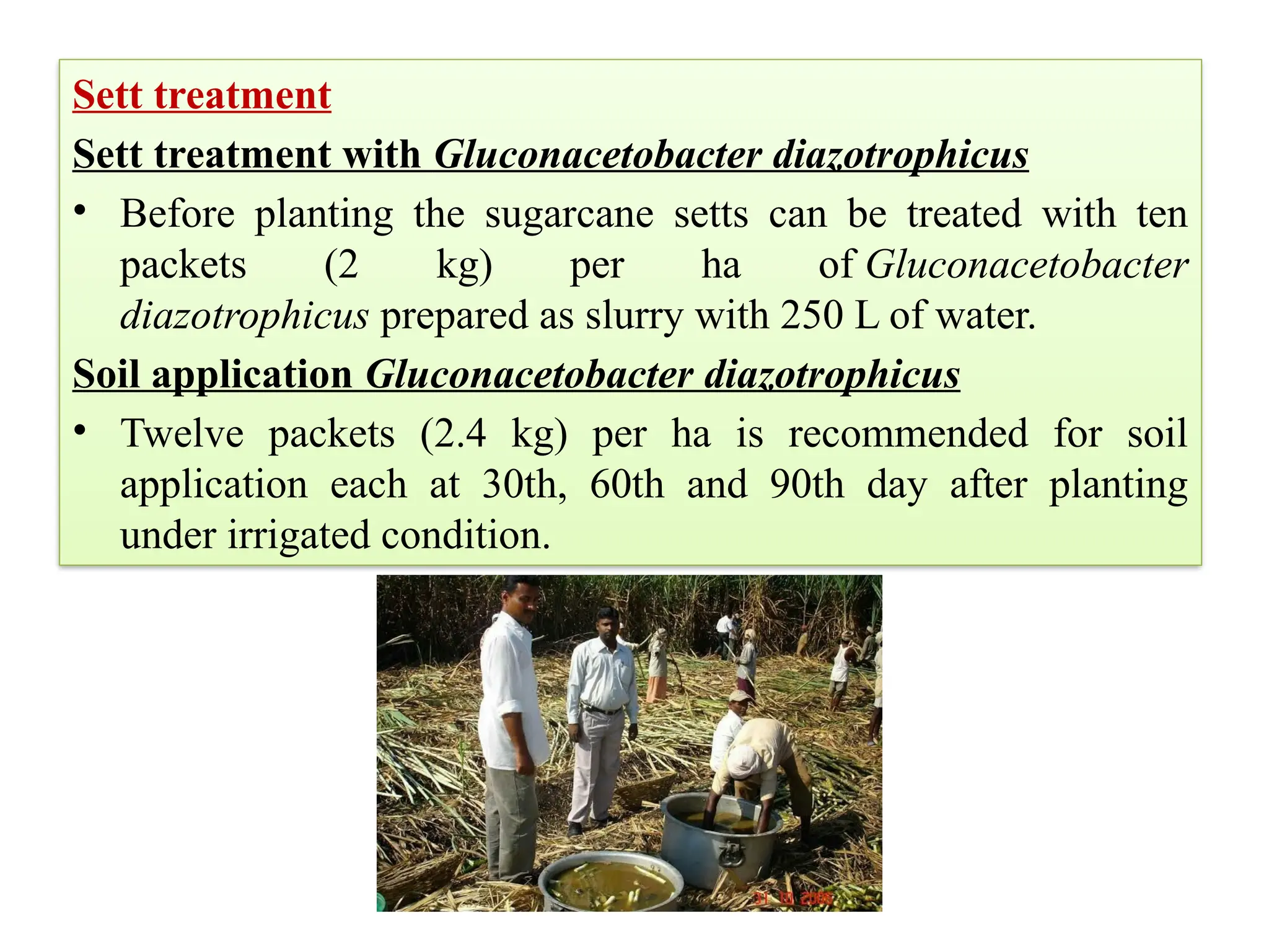 Methods of application of biofertilizer.pptx