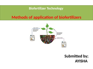 Methods of application of biofertilizer.pptx