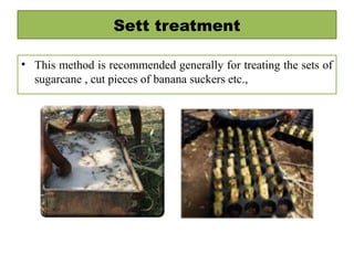 Methods of application of biofertilizer.pptx