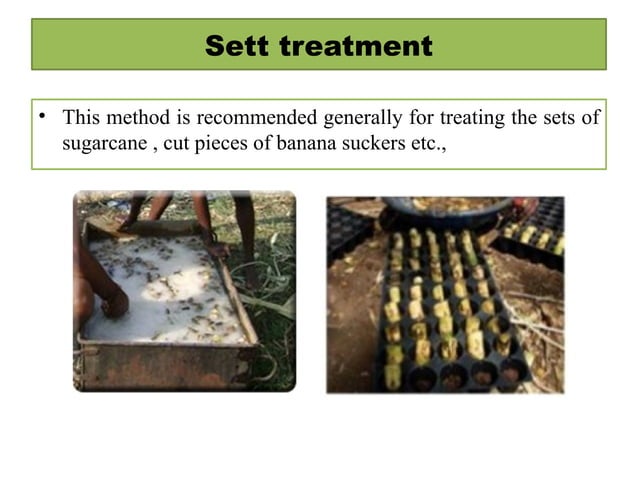 Methods of application of biofertilizer.pptx