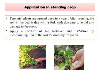 Methods of application of biofertilizer.pptx