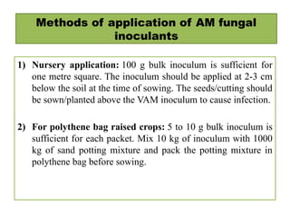 Methods of application of biofertilizer.pptx