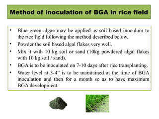 Methods of application of biofertilizer.pptx