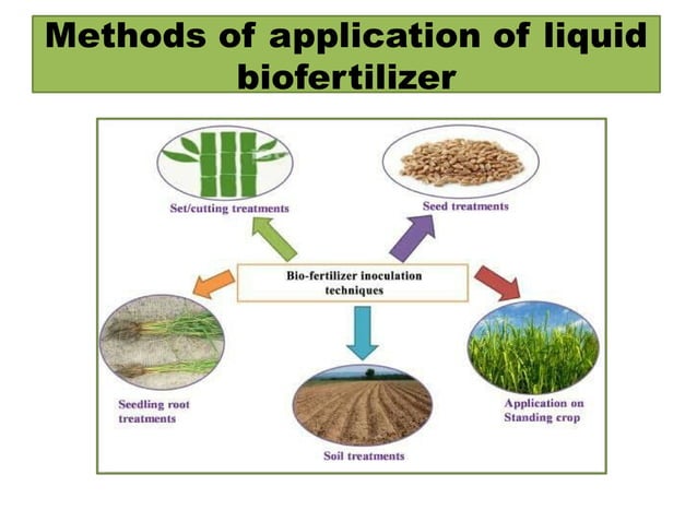 Methods of application of biofertilizer.pptx
