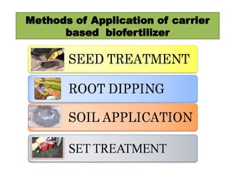 Methods of application of biofertilizer.pptx