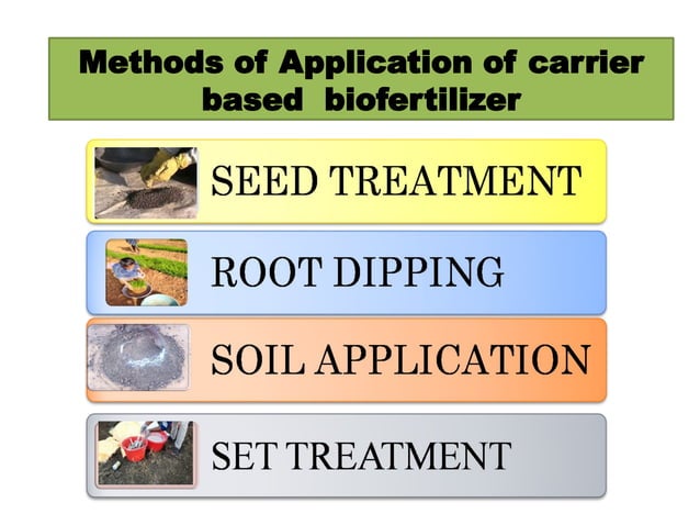 Methods of application of biofertilizer.pptx