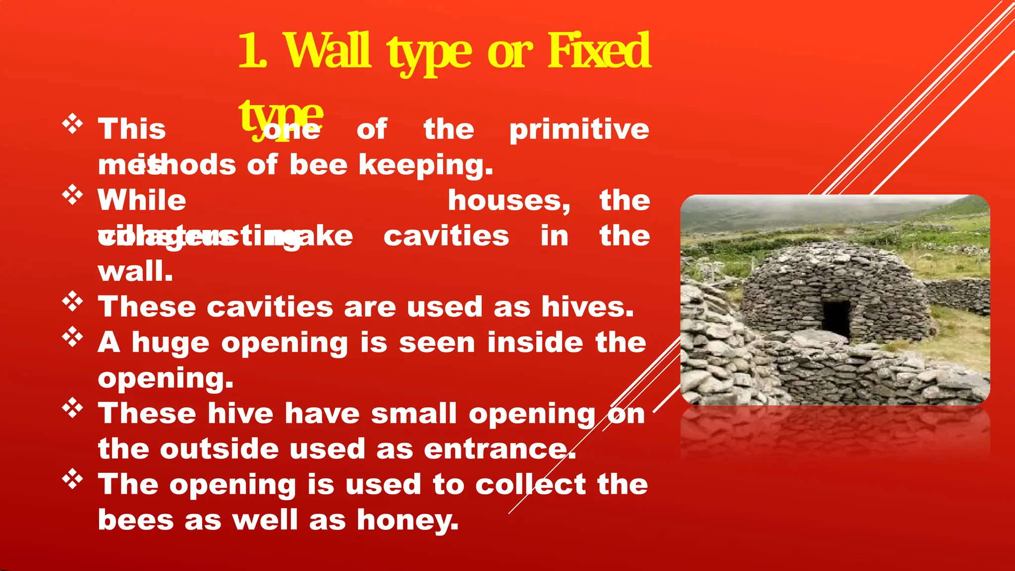 DIFFERENT METHODS or TYPES OF BEE KEEPING.pptx