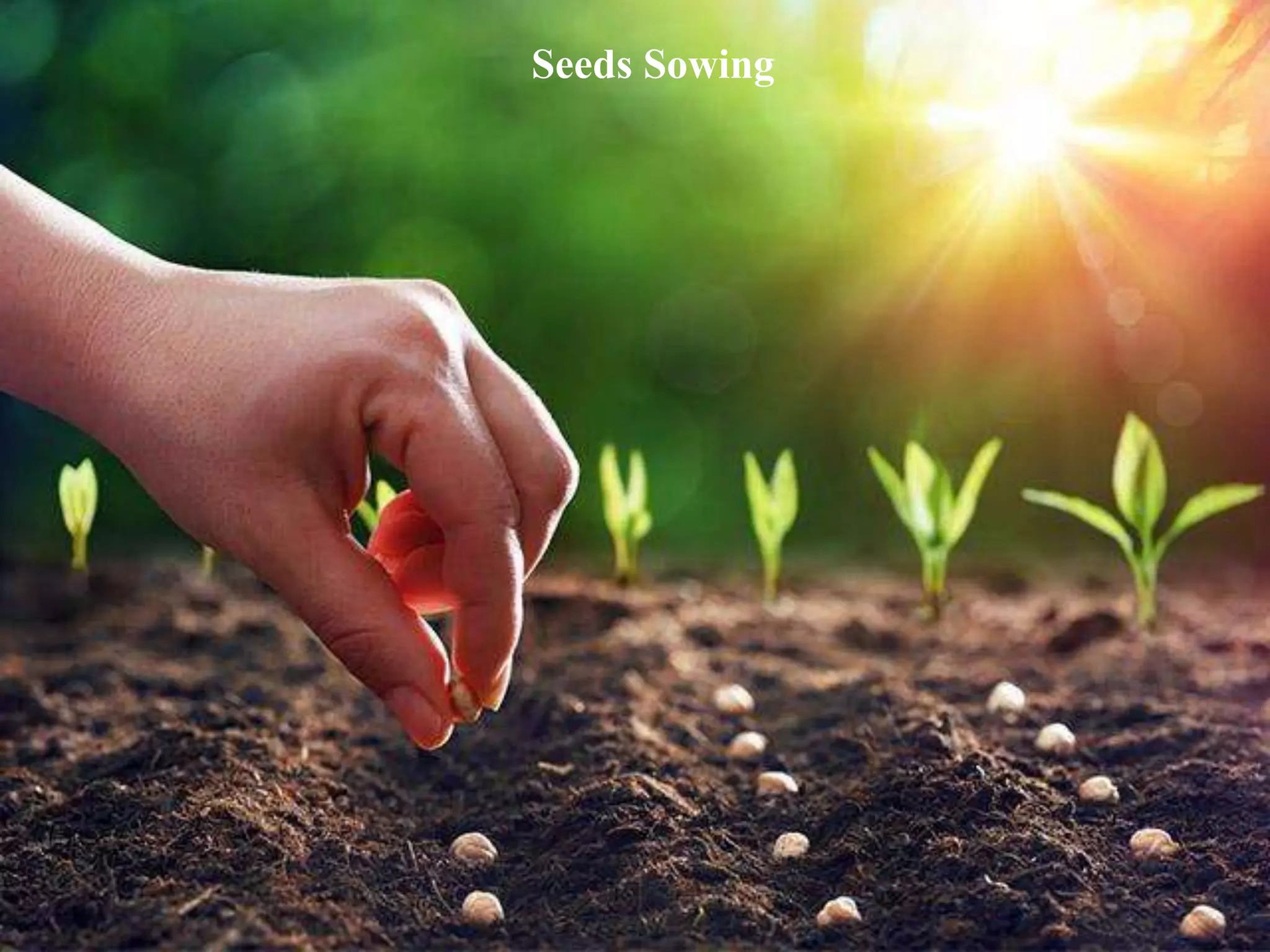 Methods of breaking dormancy | PPTX