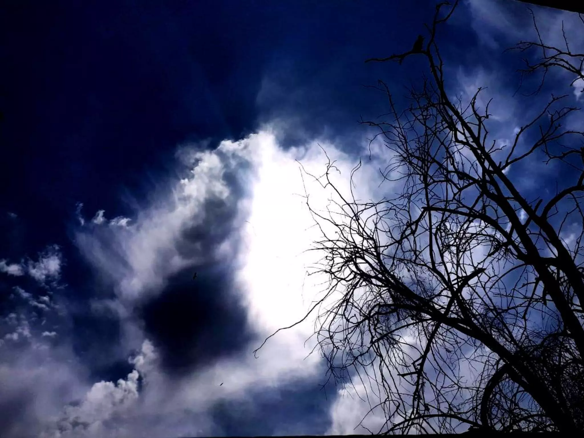 Methods of breaking dormancy | PPTX