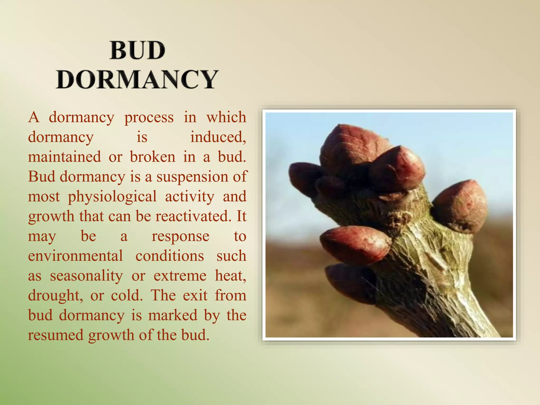 Methods of breaking dormancy | PPTX