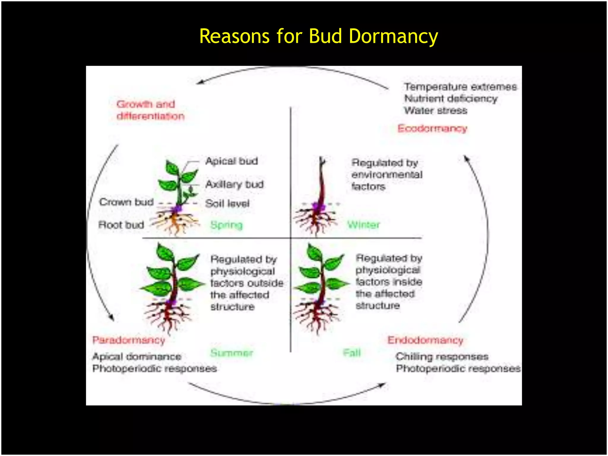 Methods of breaking dormancy | PPTX