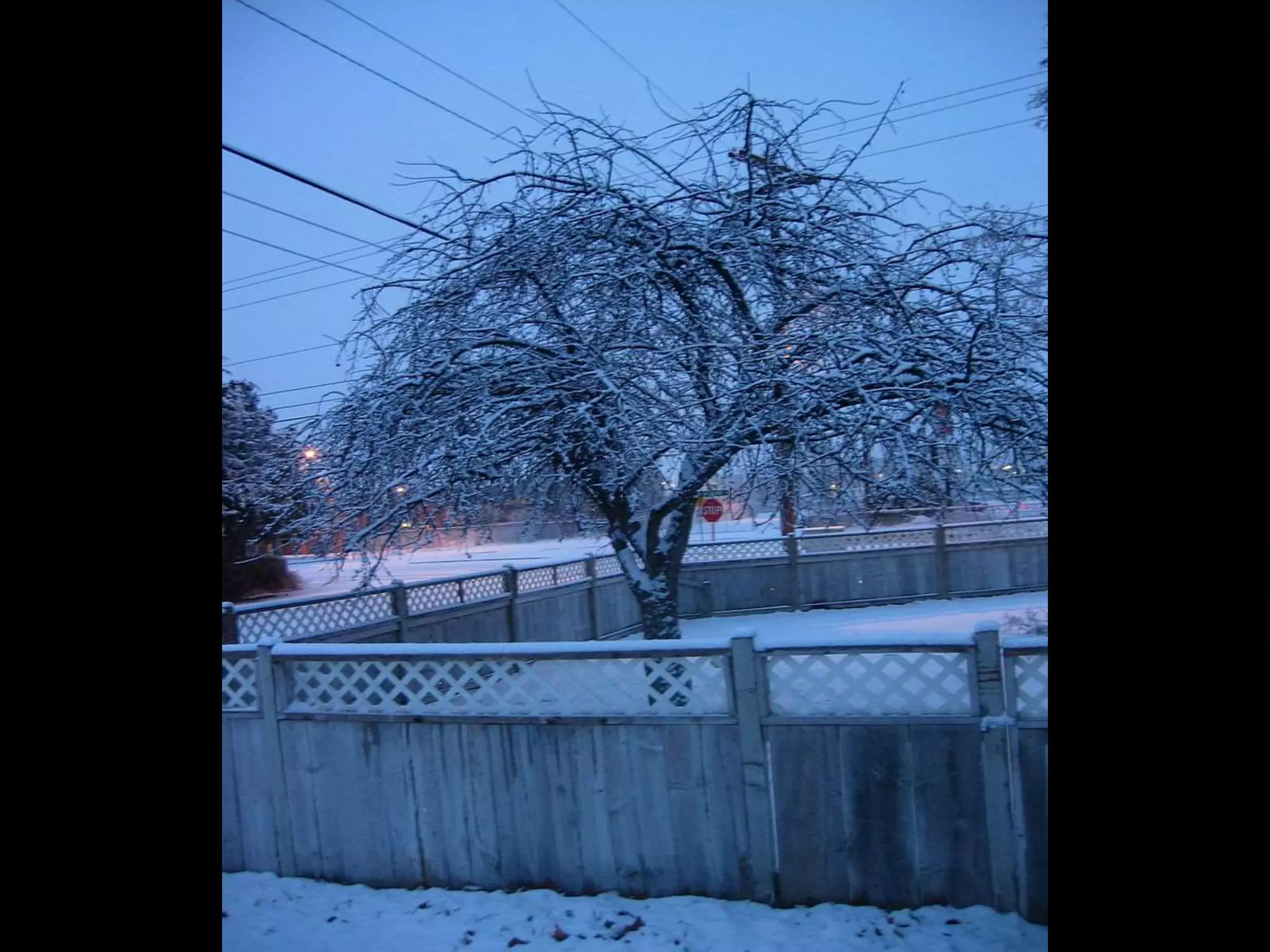 Methods of breaking dormancy | PPTX