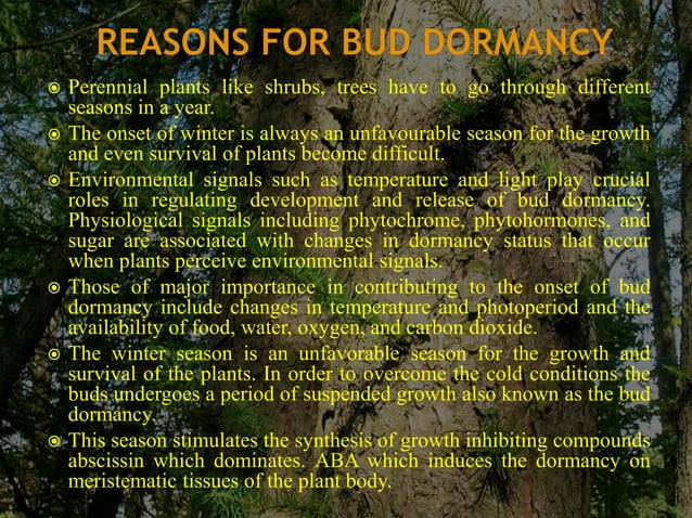 Methods of breaking dormancy | PPTX