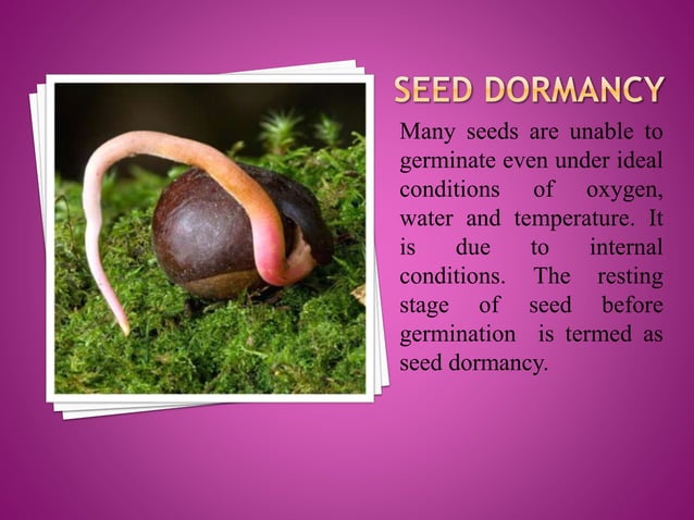 Methods of breaking dormancy | PPTX