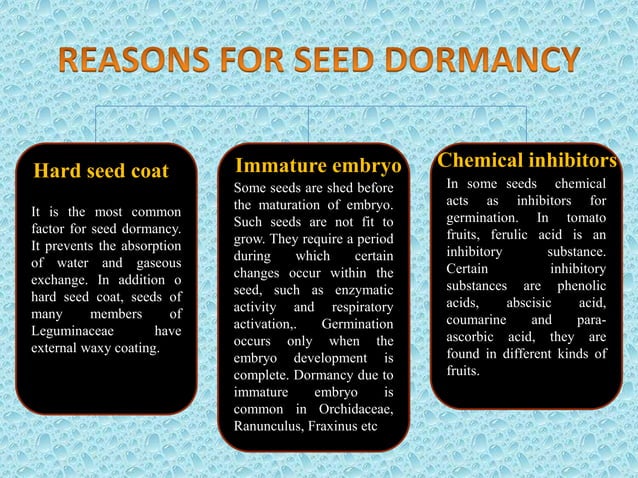 Methods Of Breaking Dormancy Ppt