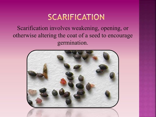 Methods Of Breaking Dormancy Ppt