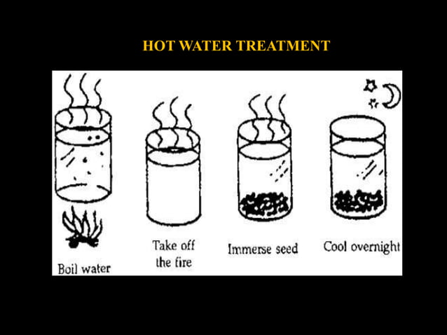 Methods Of Breaking Dormancy Ppt