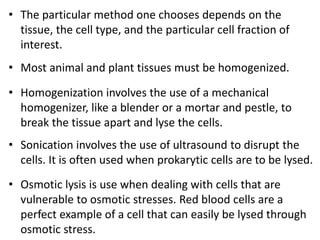 METHODS OF CELL FRACTIONATION.pptx | Biological Sciences | Science