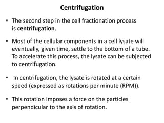METHODS OF CELL FRACTIONATION.pptx | Biological Sciences | Science