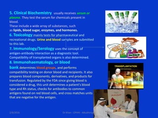 Methods of clinical investigation | PPTX