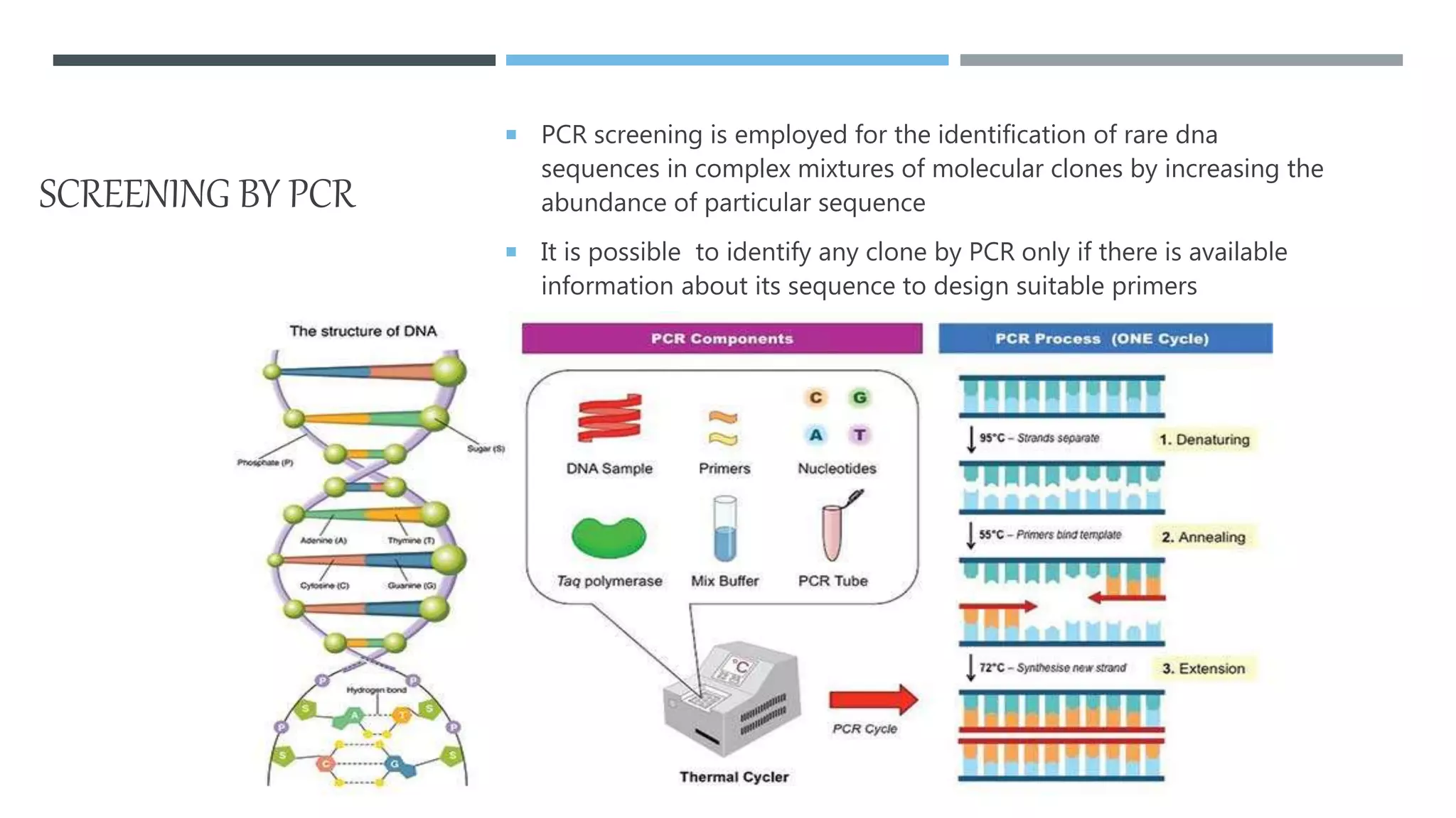 Methods of clone identification | PPTX
