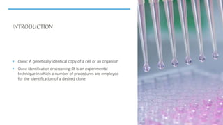 Methods of clone identification | PPTX