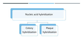 Methods of clone identification | PPTX