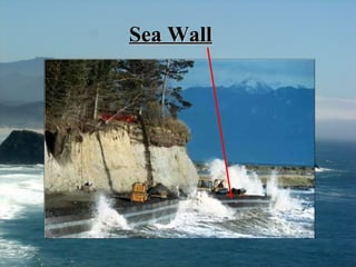 Methods Of Coastal Protection | PPT
