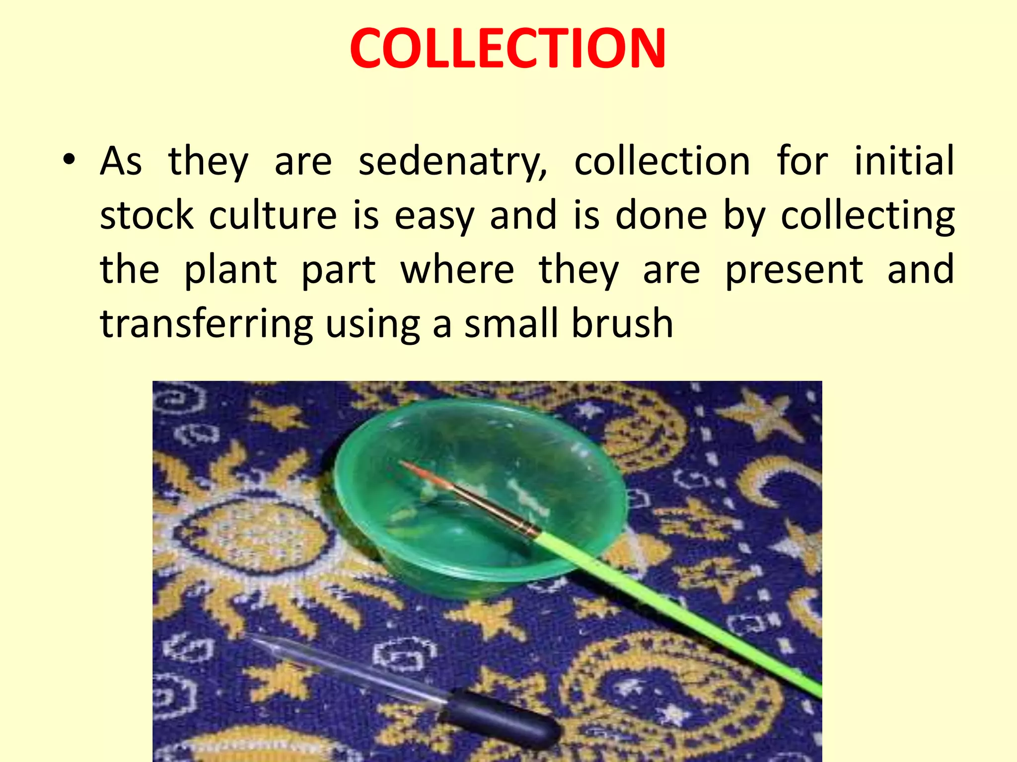 Methods of collecting vectors and their maintenence | PPTX