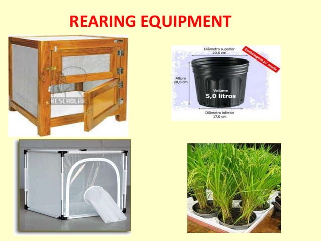 Methods of collecting vectors and their maintenence | PPT