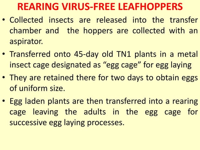 Methods of collecting vectors and their maintenence | PPT