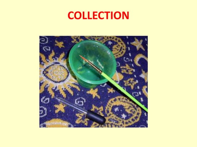 Methods of collecting vectors and their maintenence | PPT