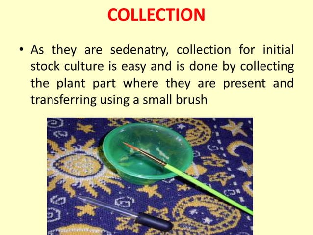 Methods of collecting vectors and their maintenence | PPT