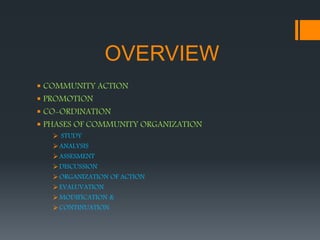 Methods of community organization | PPTX