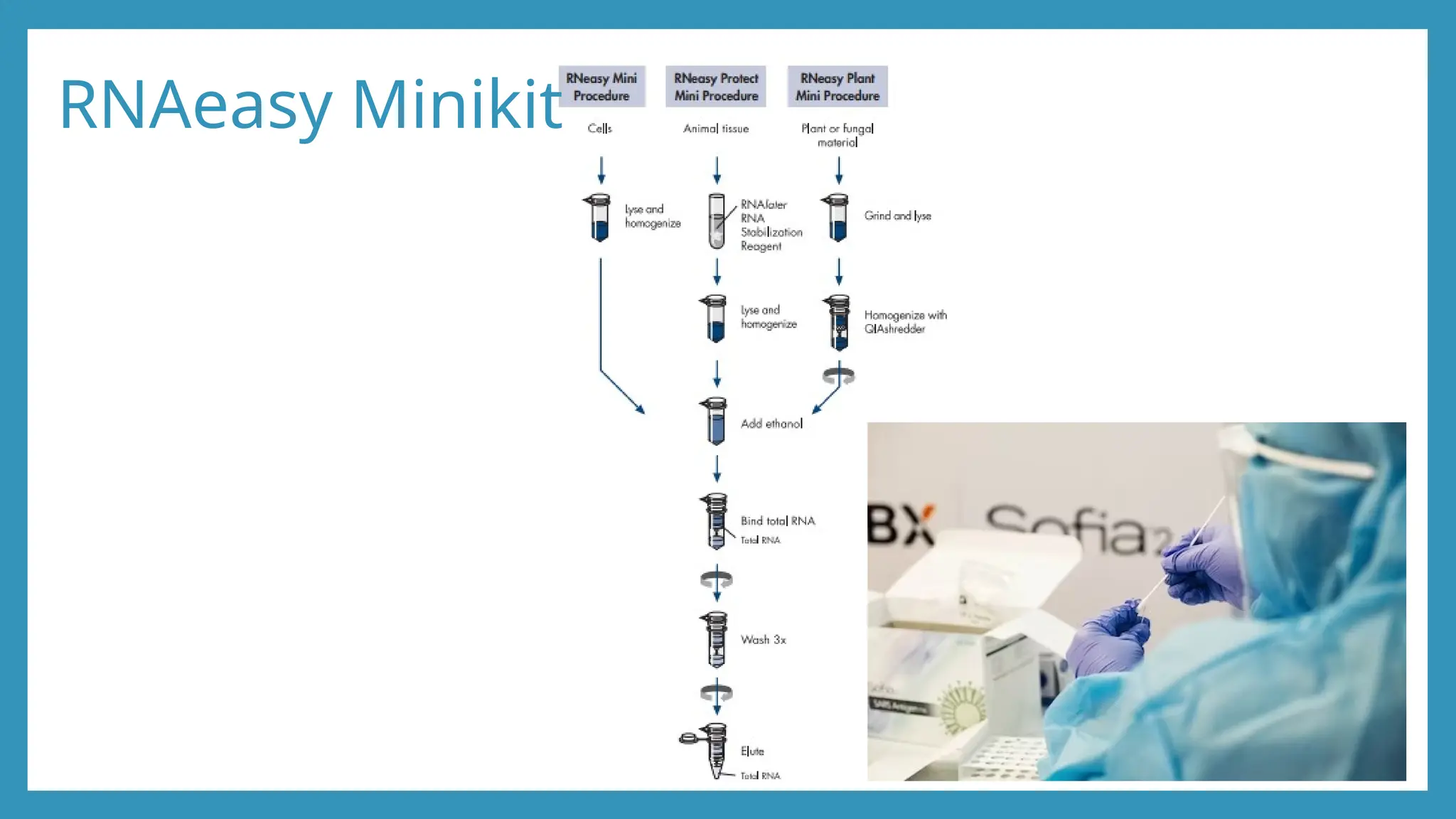 Methods of dsRNA extraction new 2024.pptx