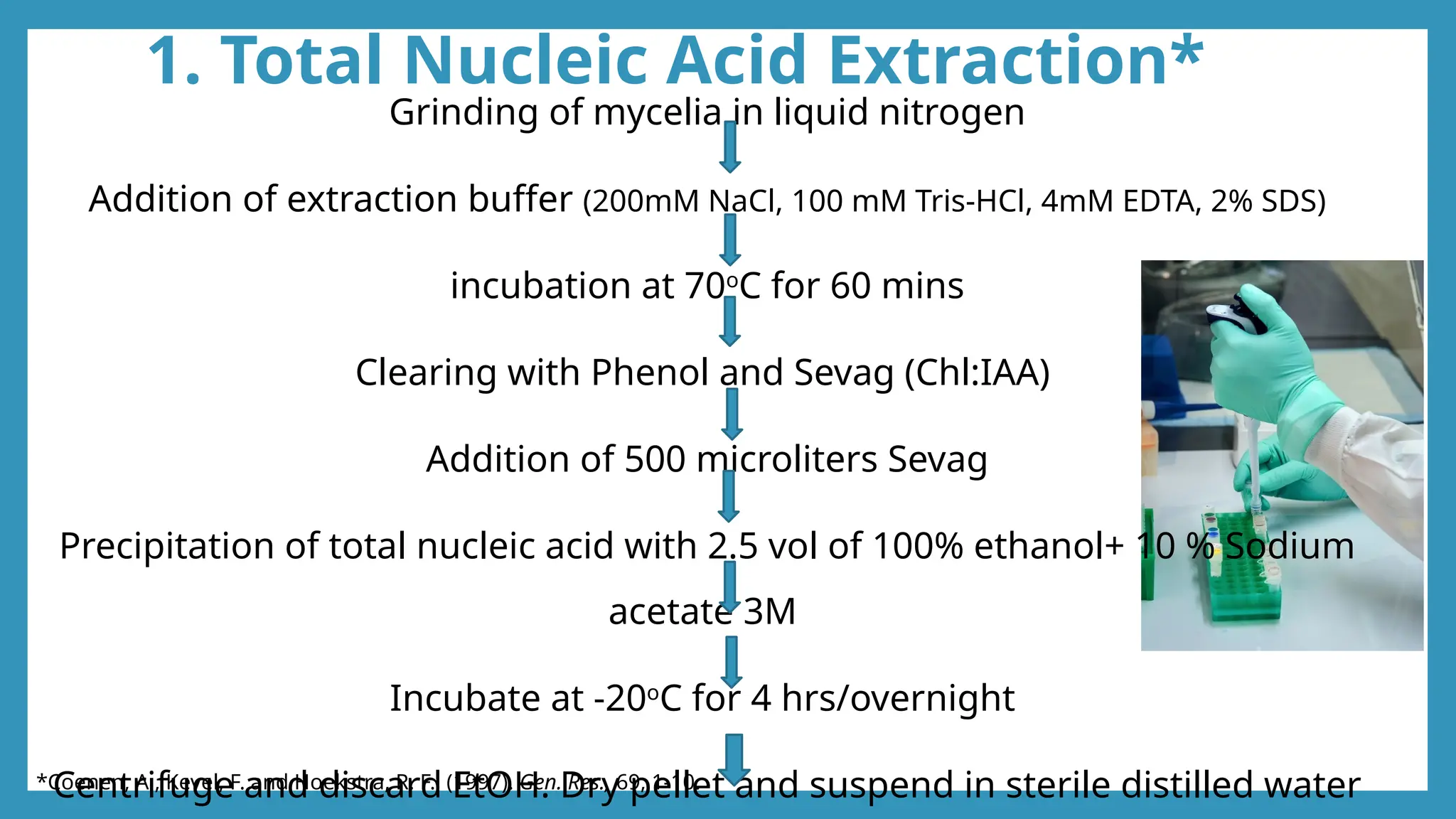 Methods of dsRNA extraction new 2024.pptx
