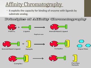 methods ofenzymeisolationandpurification | PPT