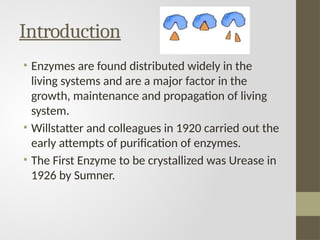 methods ofenzymeisolationandpurification | PPT