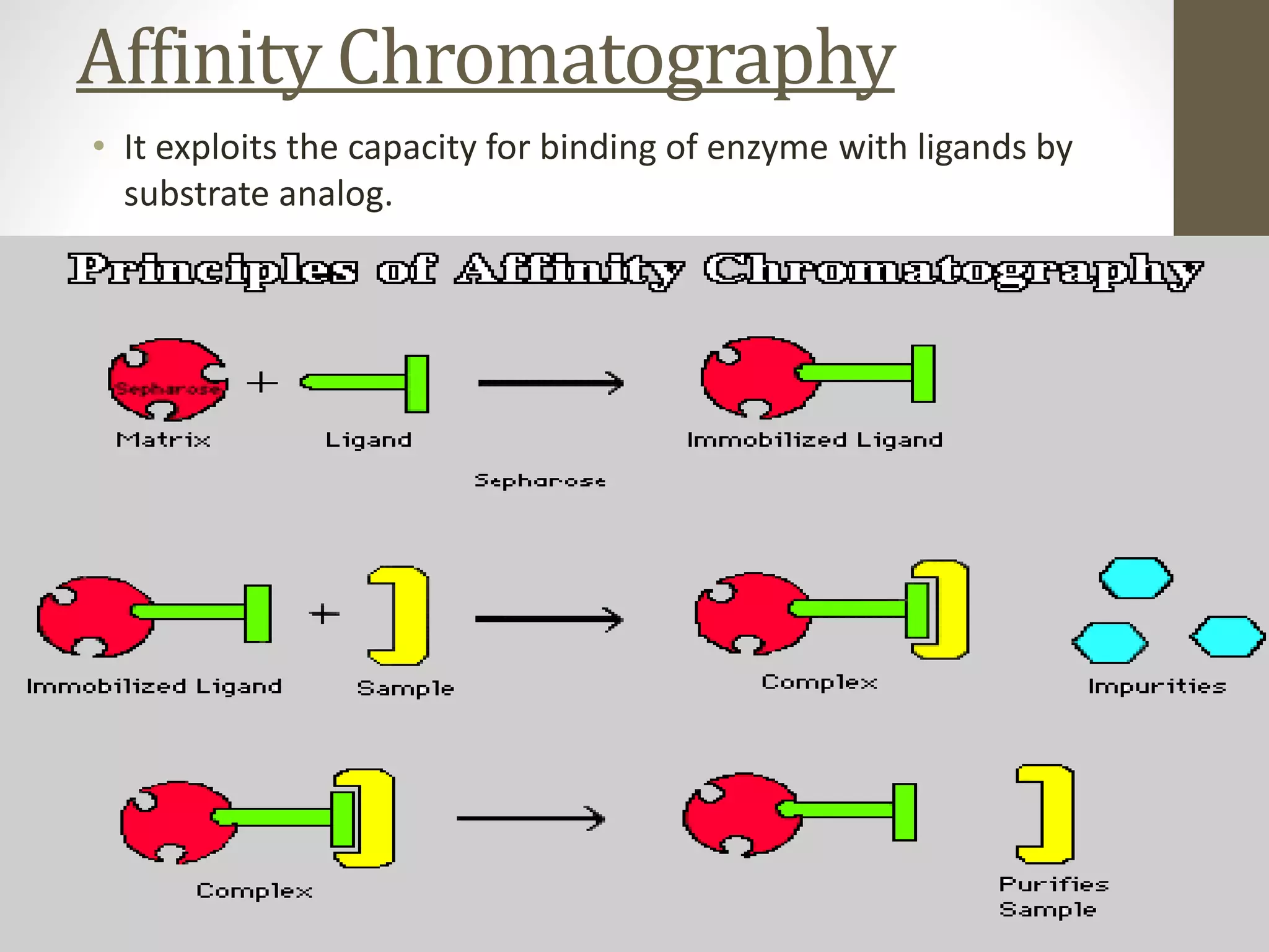 Methods of enzyme isolation and purification | PPTX