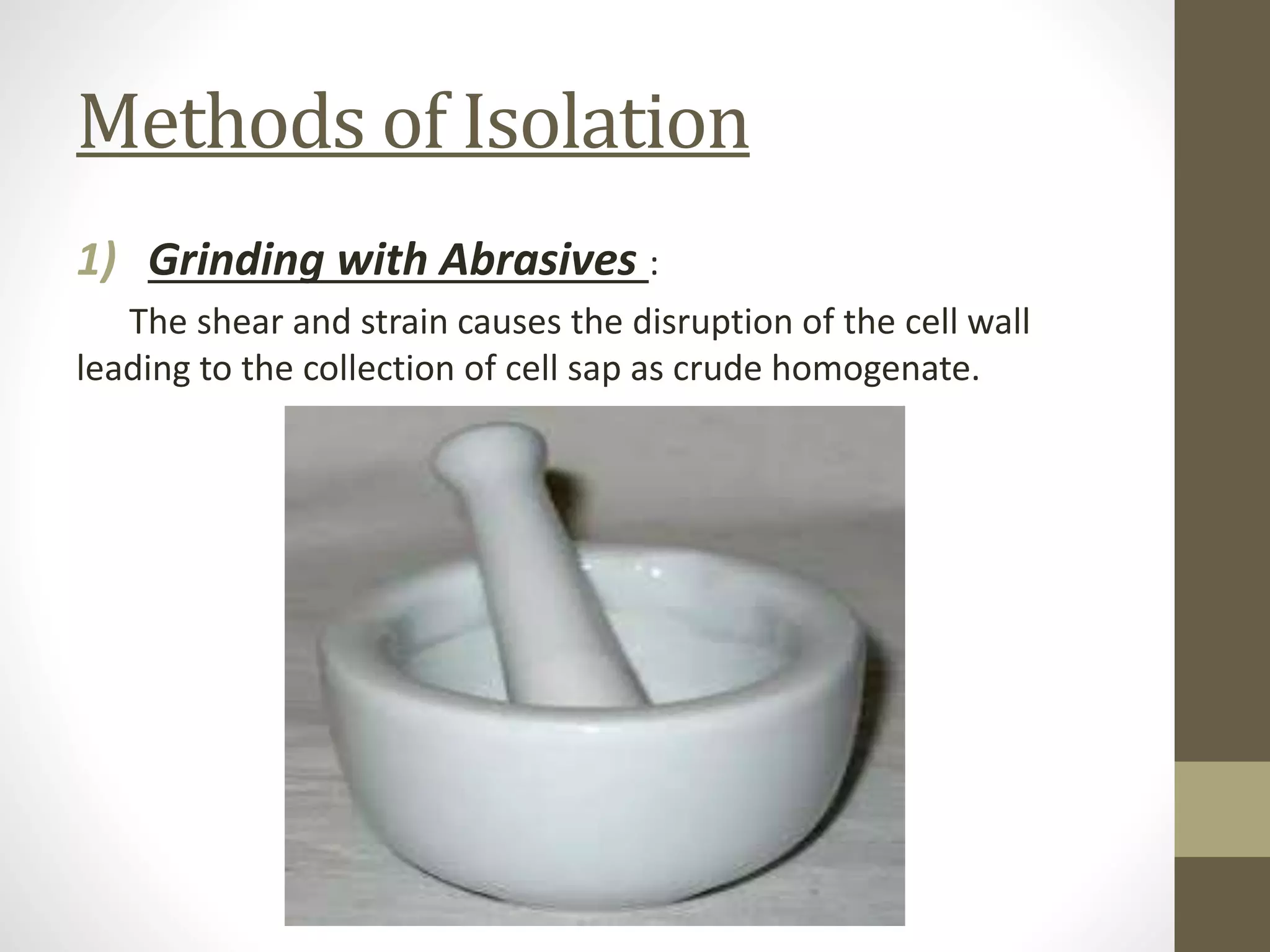 Methods Of Enzyme Isolation And Purification Ppt
