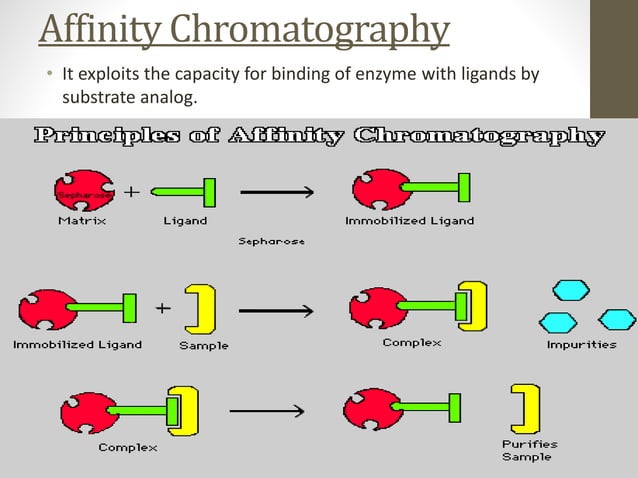 Methods of enzyme isolation and purification | PPTX