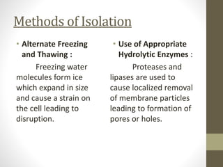Methods of enzyme isolation and purification | PPTX