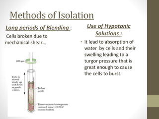 Methods of enzyme isolation and purification | PPTX
