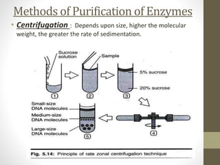 Methods of enzyme isolation and purification | PPTX