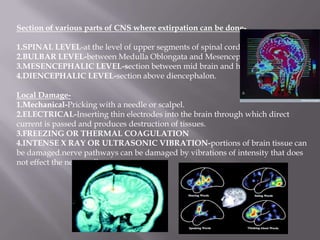 Methods of examining functions of CNS | PPTX