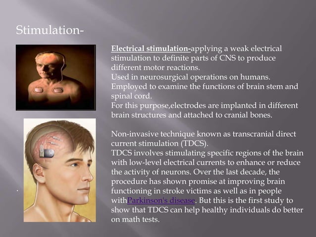 Methods of examining functions of CNS | PPTX | Brain and Nervous System ...